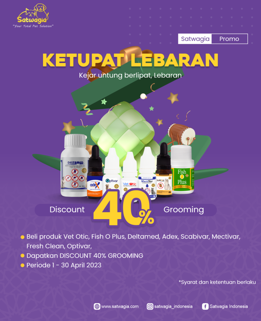 Promo Bulan ini - Satwagia